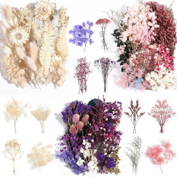 Kitchen | Real Dried Flowers 10 Natural Dried Flowers Mixed Colors ...